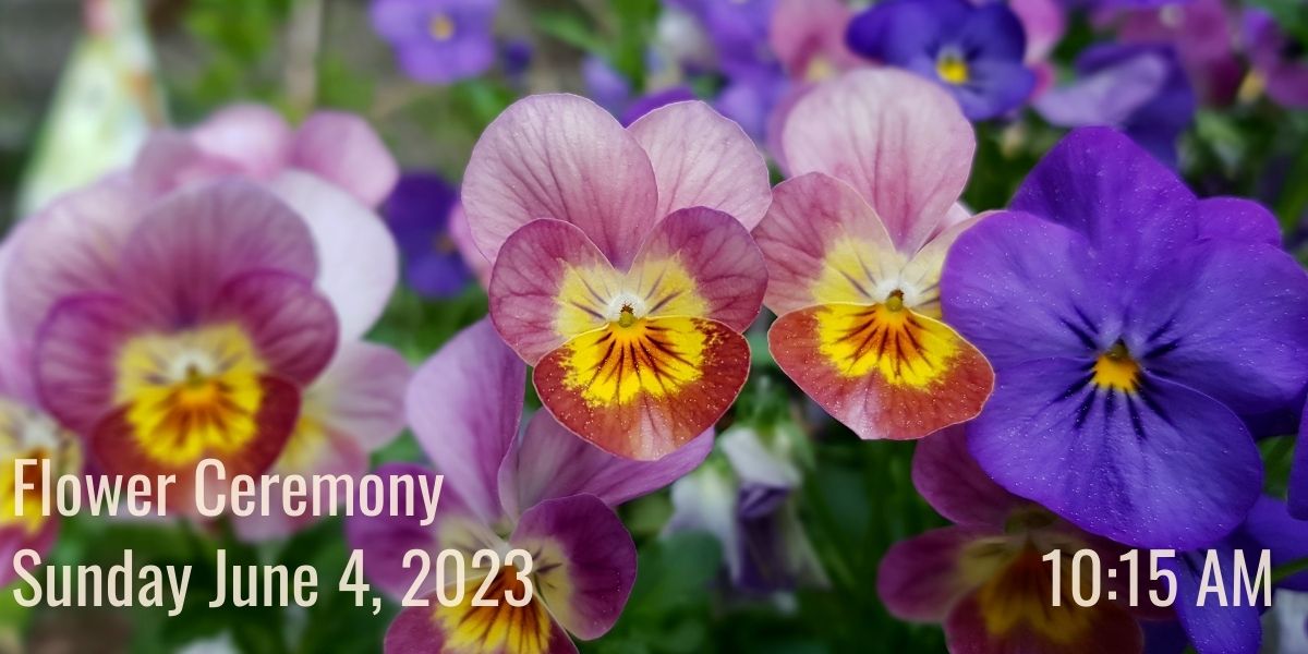 Flower Ceremony + Annual Meeting - Unitarian Universalist Congregation ...