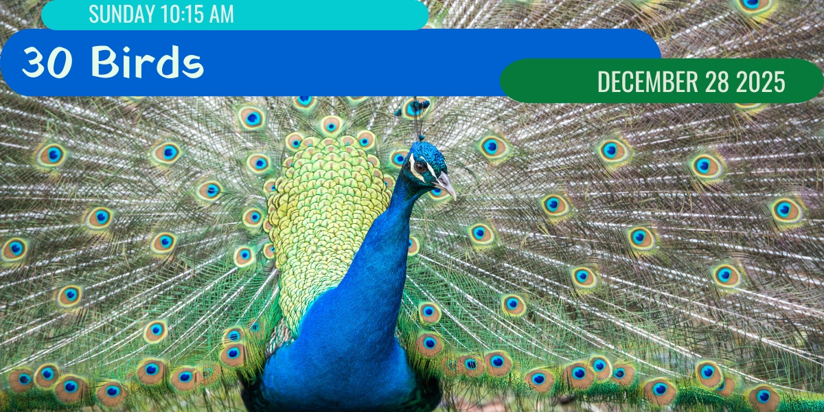 30 Birds - Unitarian Universalist Congregation of Cleveland